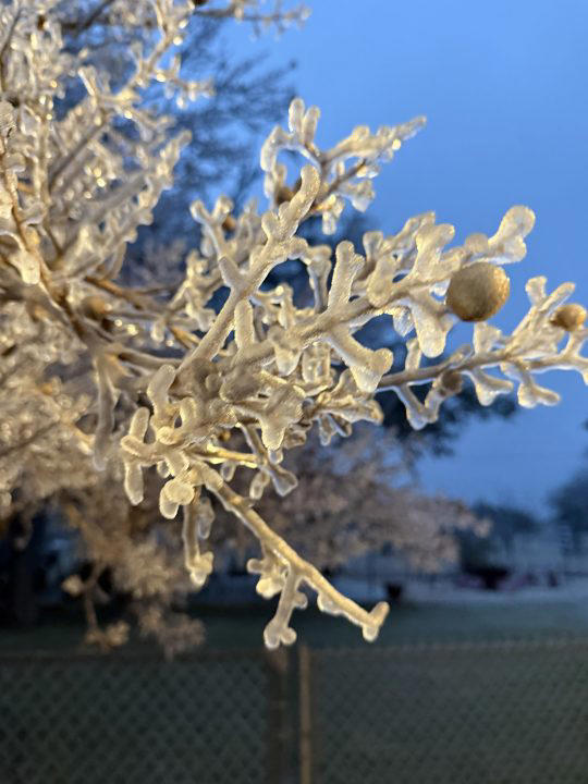 Live blog: Austin bridges are icing over as freezing rain, sleet fall ...