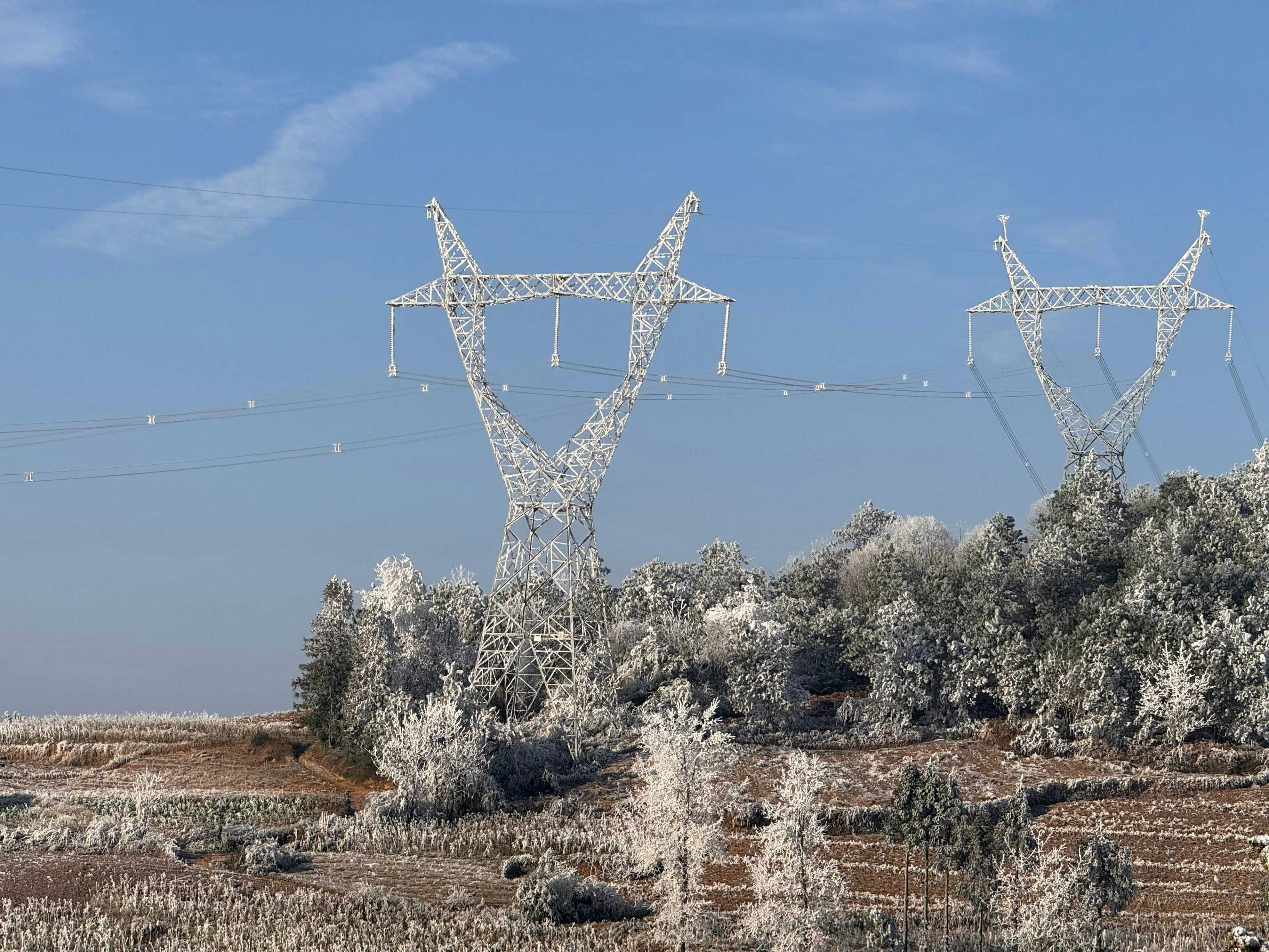 How to check on and report power outages