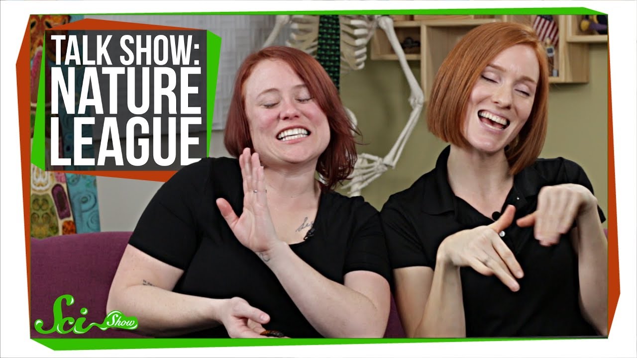 Big Data, Wildlife Conservation, and InverteBRITs | SciShow Talk Show