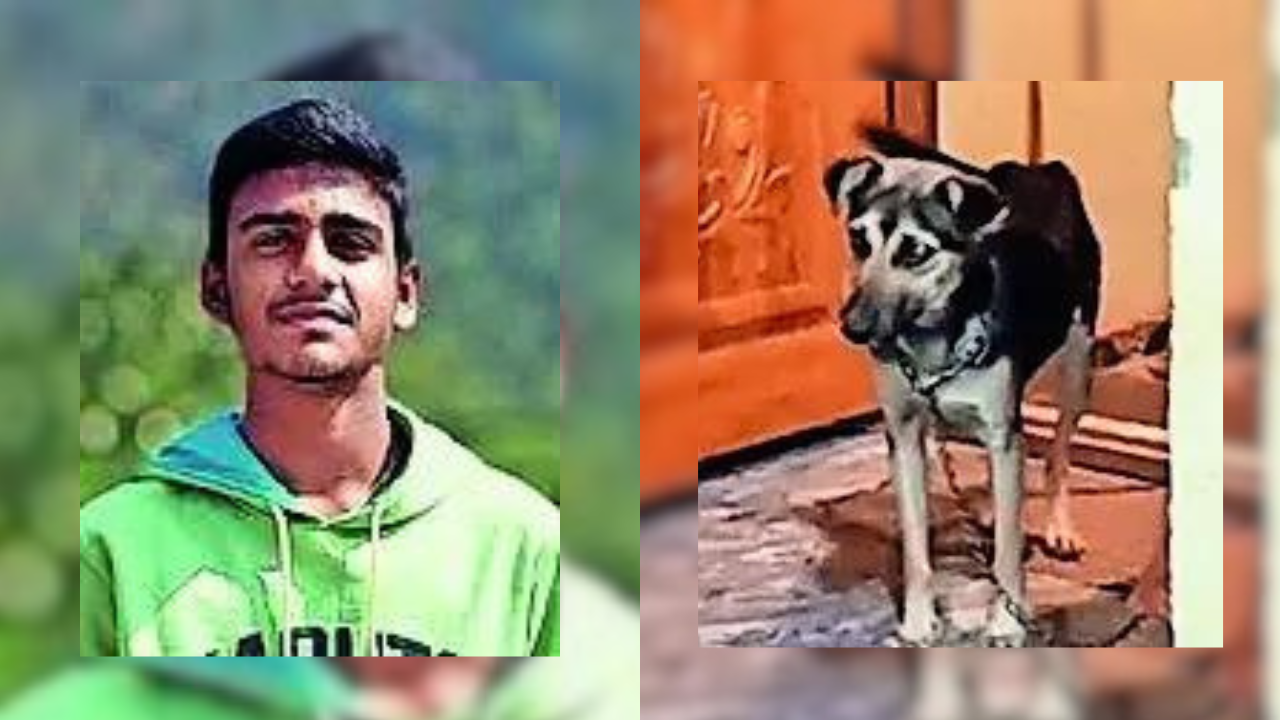 14-year-old long jump champion goes searching for pet dog, run over by ...