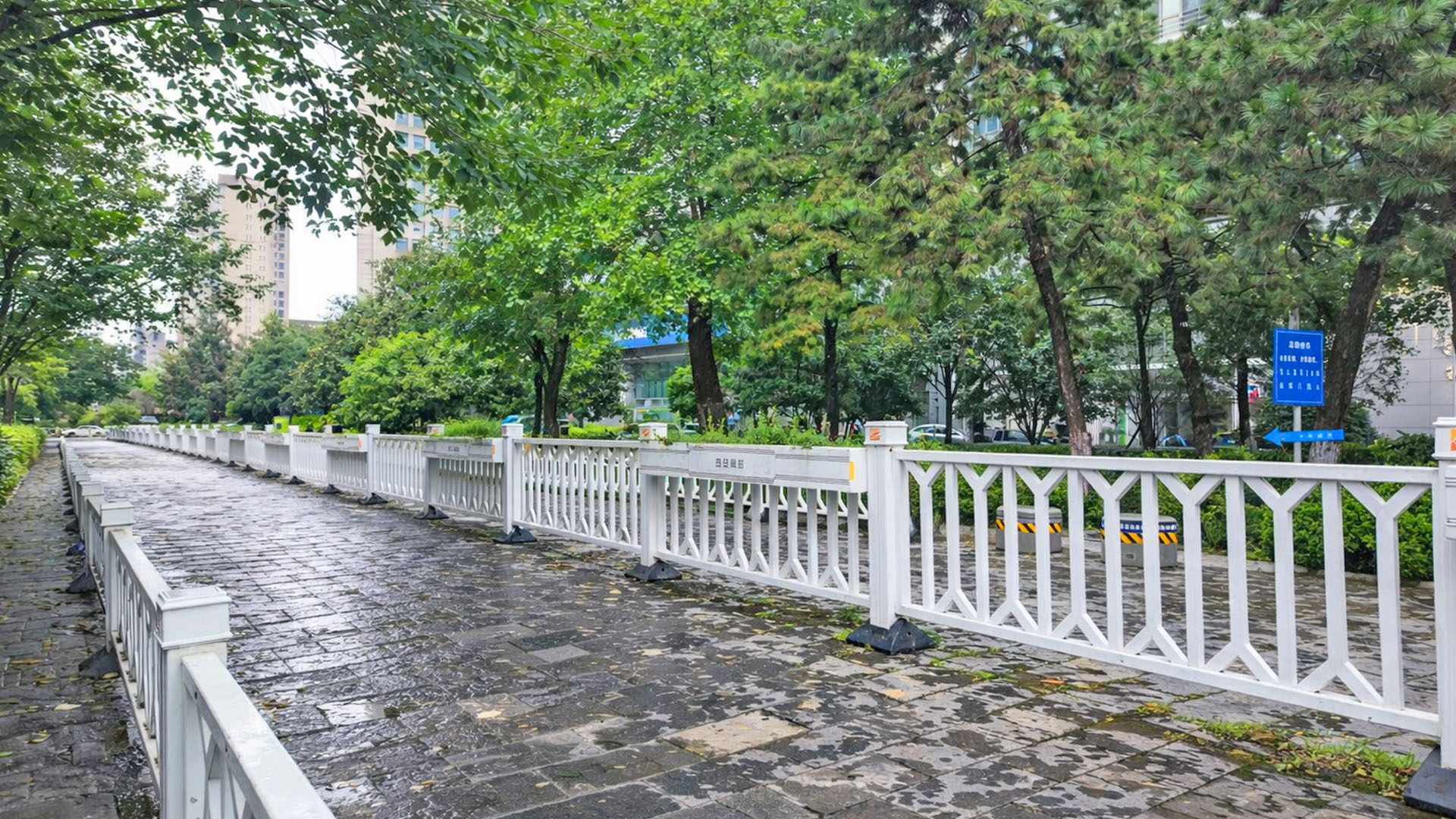Hidden green walkway in Xi’an