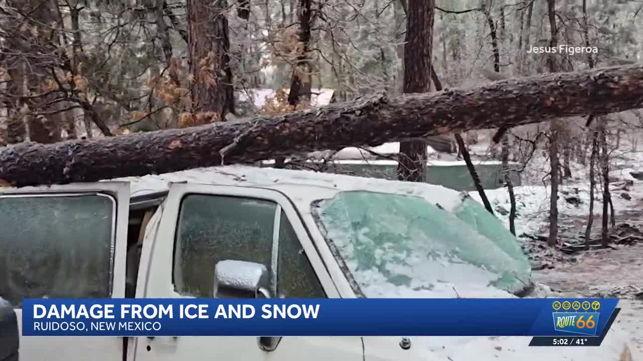 Ice accumulation downs trees and power lines in Ruidoso
