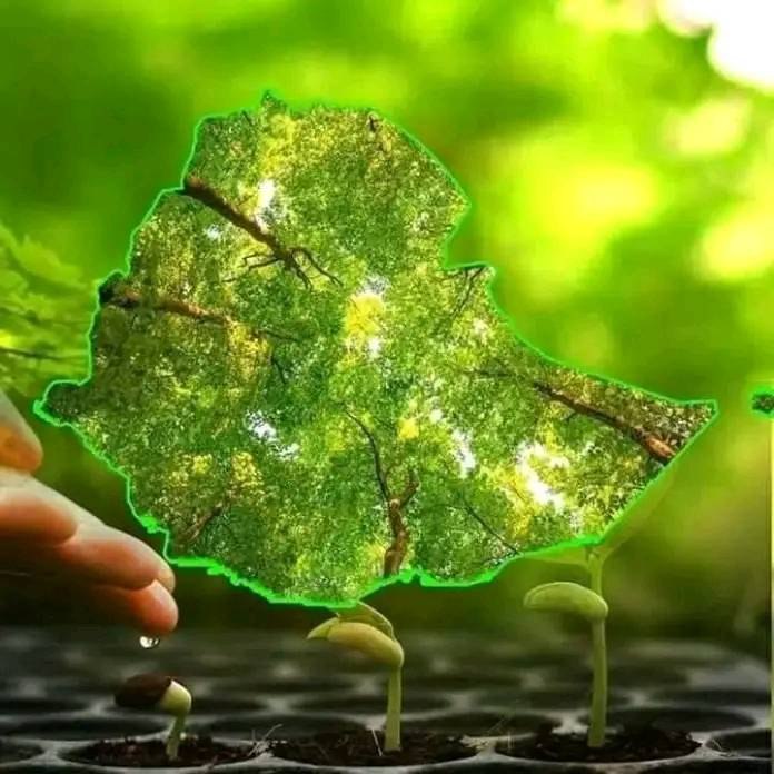 Ethiopia's green leadership in sustaining the lifeline of Abay River Basin