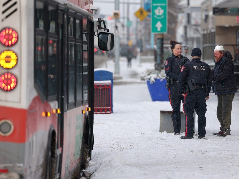 Police searching for offender after Calgary transit passenger struck in ...