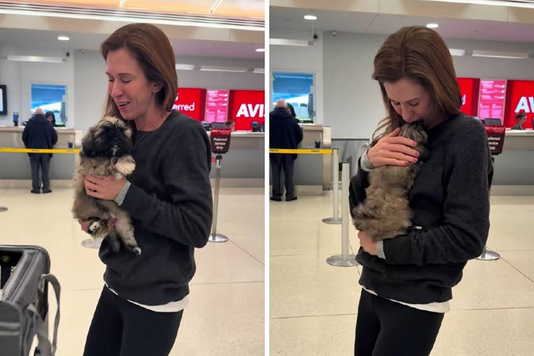 Woman who spent $50,000 cloning her dog says she probably would not do ...