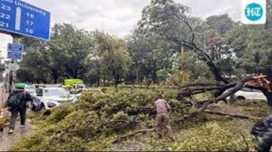 Chandigarh: 24 hours later, lights back on but Tricity still flickers