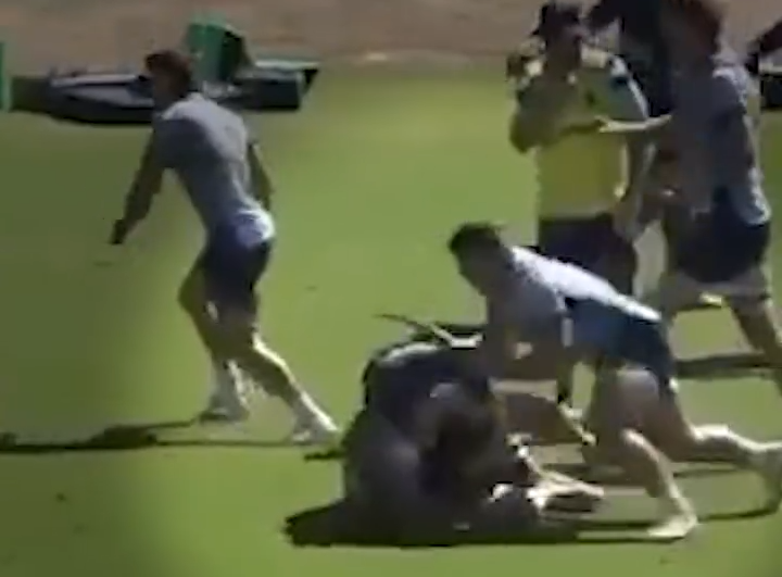 'Boys going hard': Inside vicious Waratahs punch-up