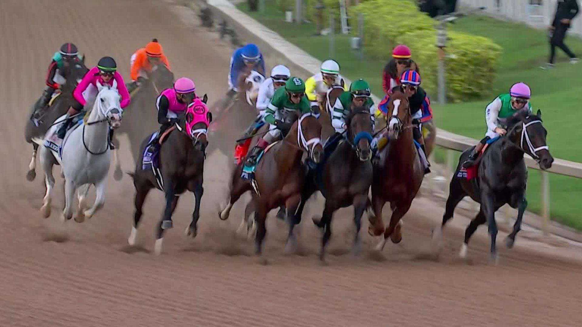 Skippylongstocking rallies in stretch, wins $3 million Pegasus World ...