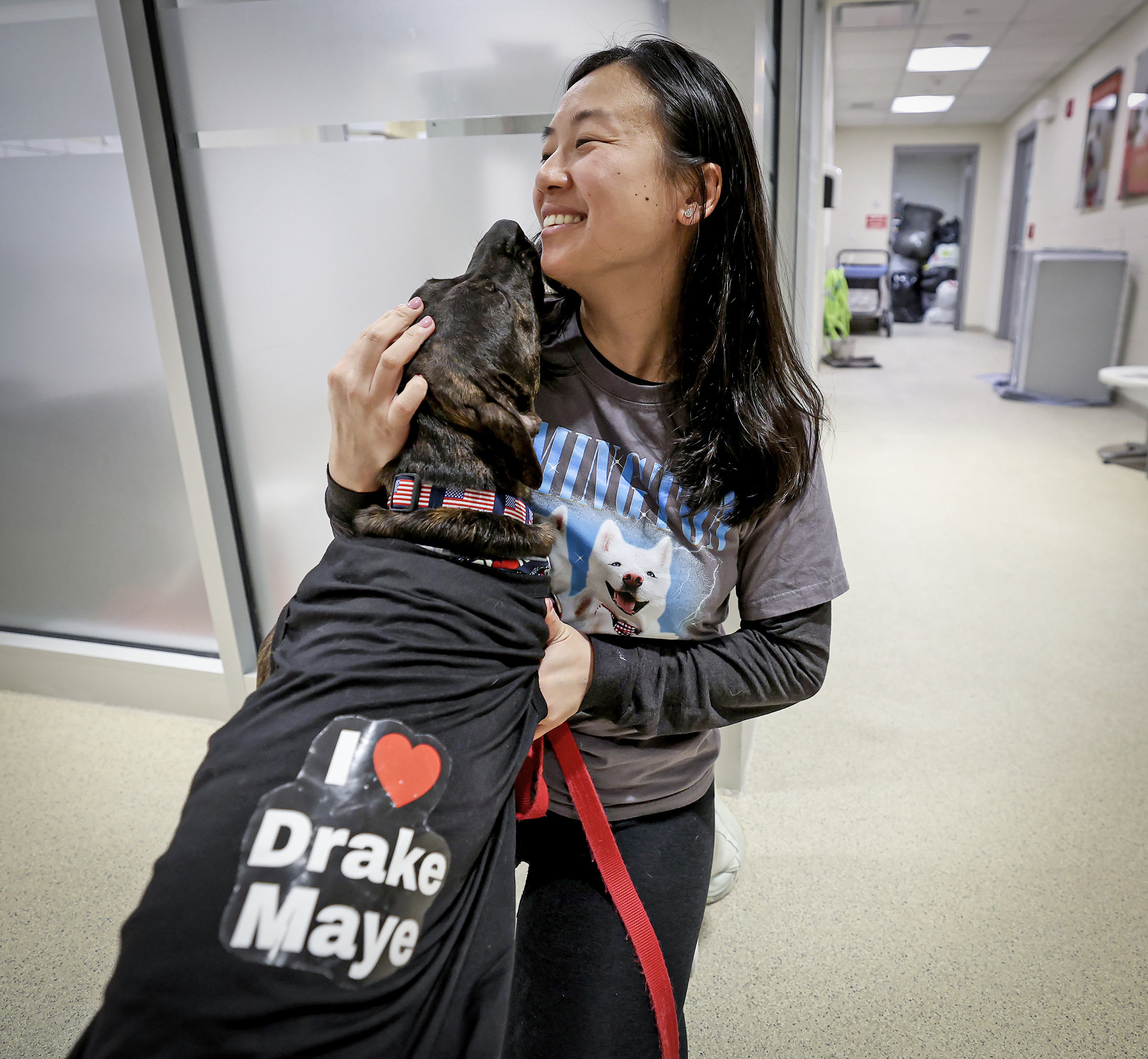 Patriots HC Mike Vrabel changing culture for dogs in shelters, Robert ...