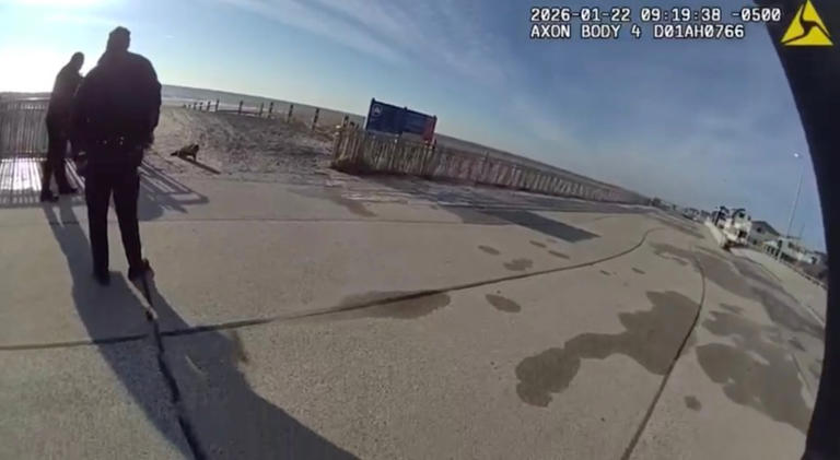 Aggressive raccoon that charged at a group of people shot dead on NYC ...