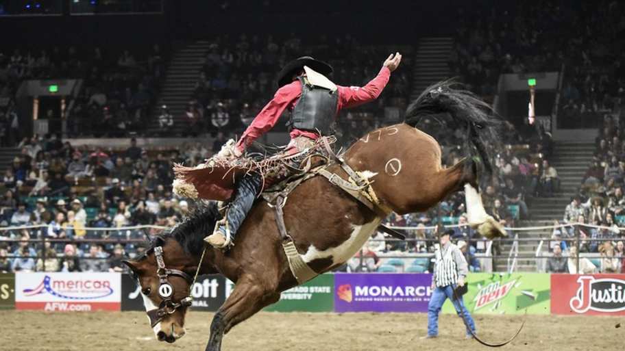 National Western semi-finals 2 heats up as rodeo athletes set the bar ...