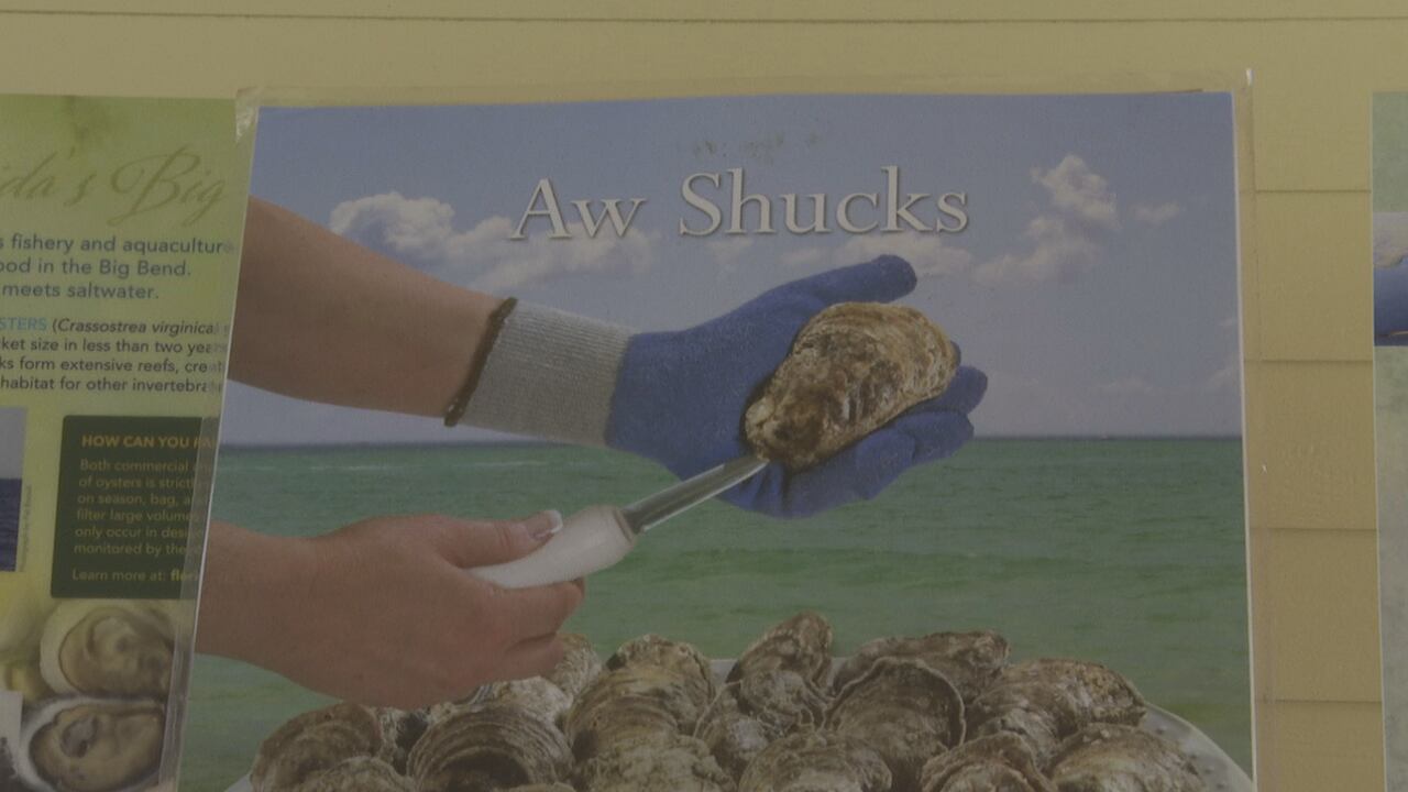 Cedar Key celebrates third annual 'Oyster Roast' for restoration cause