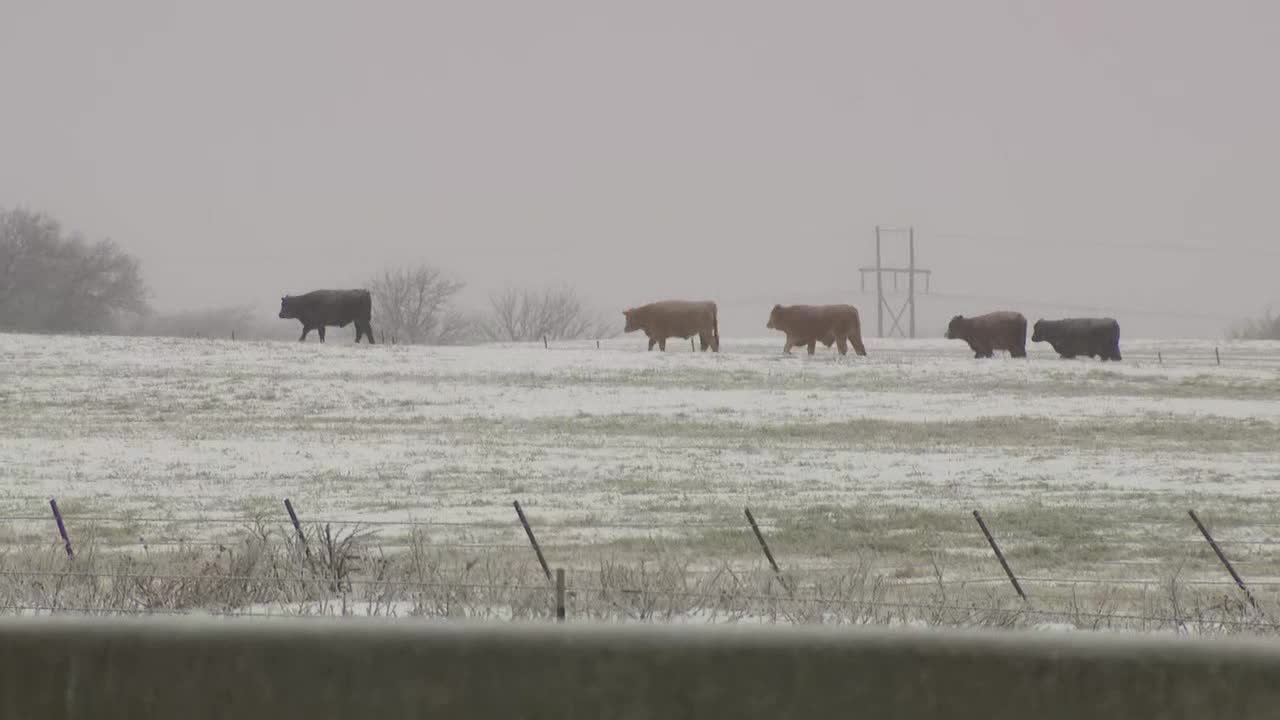 Live updates: Ice storm, road conditions, school closings in North Texas