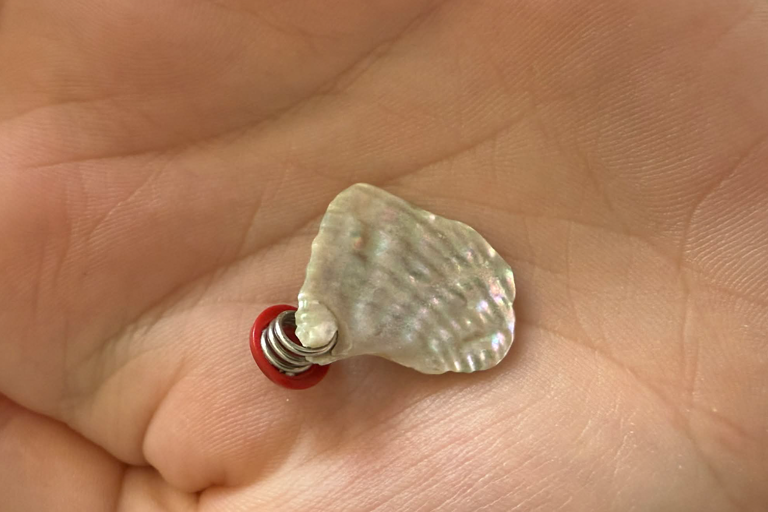 Excitement after beachgoer finds mysterious code on Aussie shell: 'Key ...