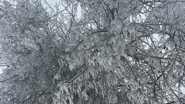 Austin weather: Latest on winter storm