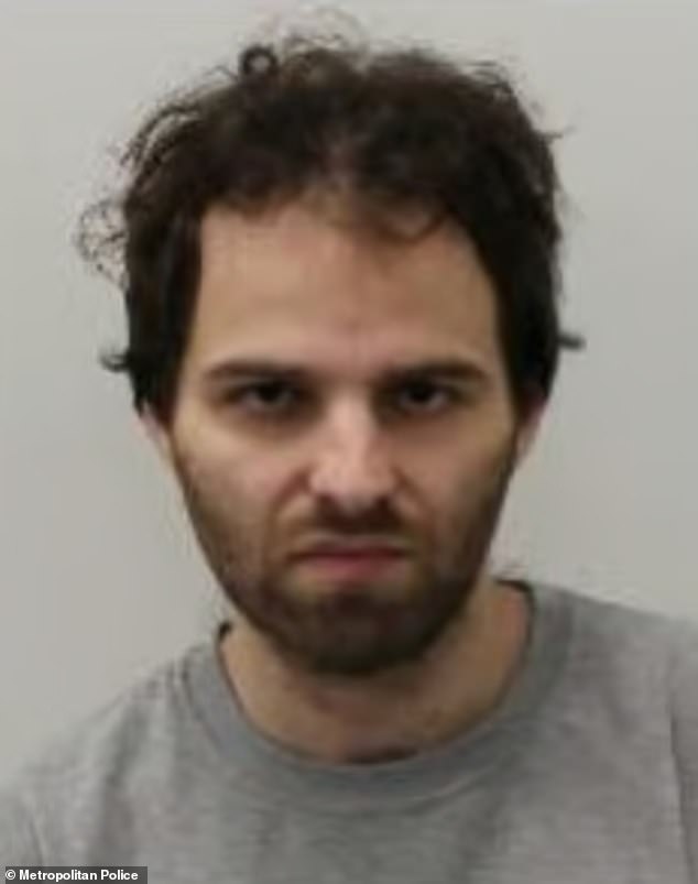 Housekeeper's terror as boss's son who stabbed her 42 times is set for ...