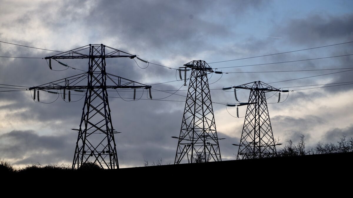 Wholesale electricity prices down over 20% in December while food ...