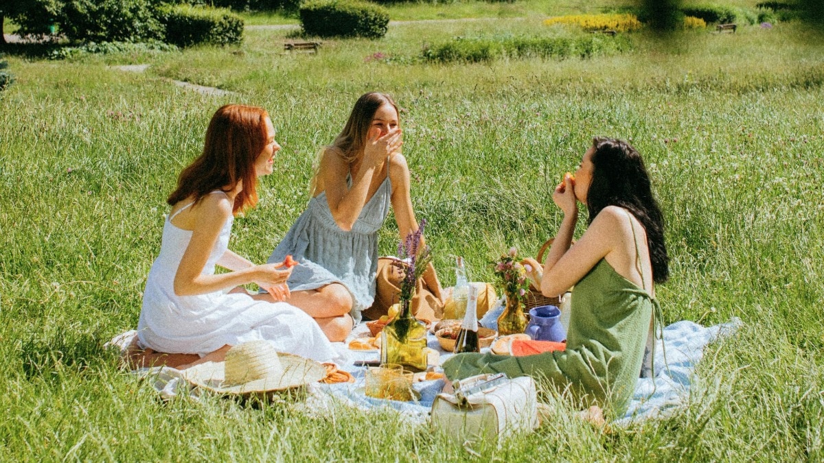 Plan a perfect picnic party: 7 essential tips for a fun and safe ...