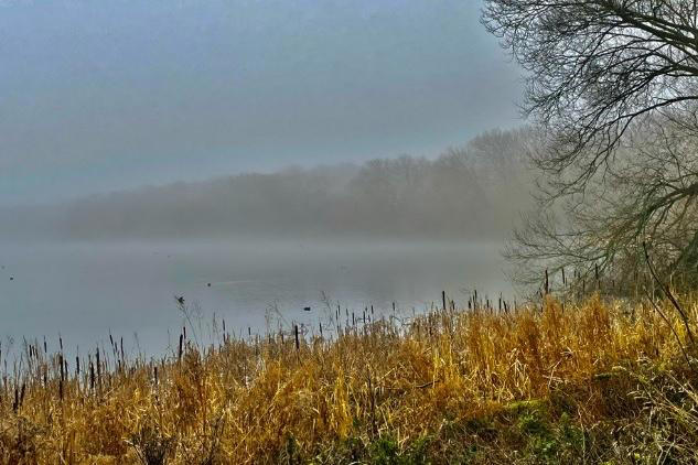 Reader pictures: 14 beautiful photos of the stunning winter scenery in ...