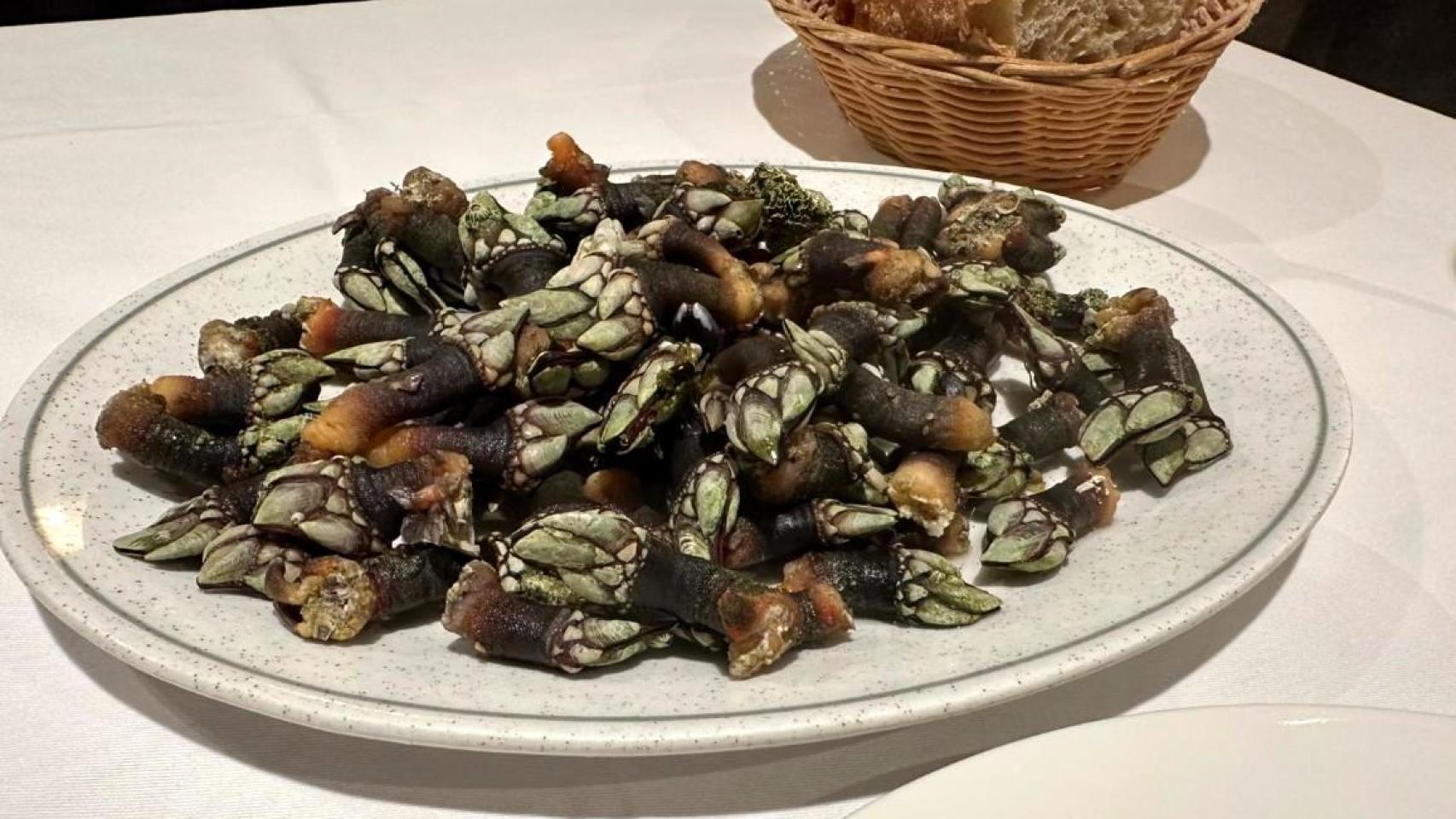 Cómo cocinar percebes en casa y que queden como en una marisquería