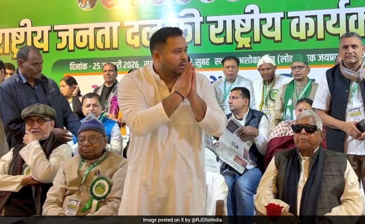 Tejashwi Yadav appointed RJD's new national working president