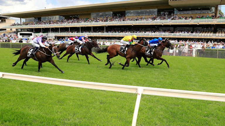 Race-by-race preview and tips for Warwick Farm on Monday