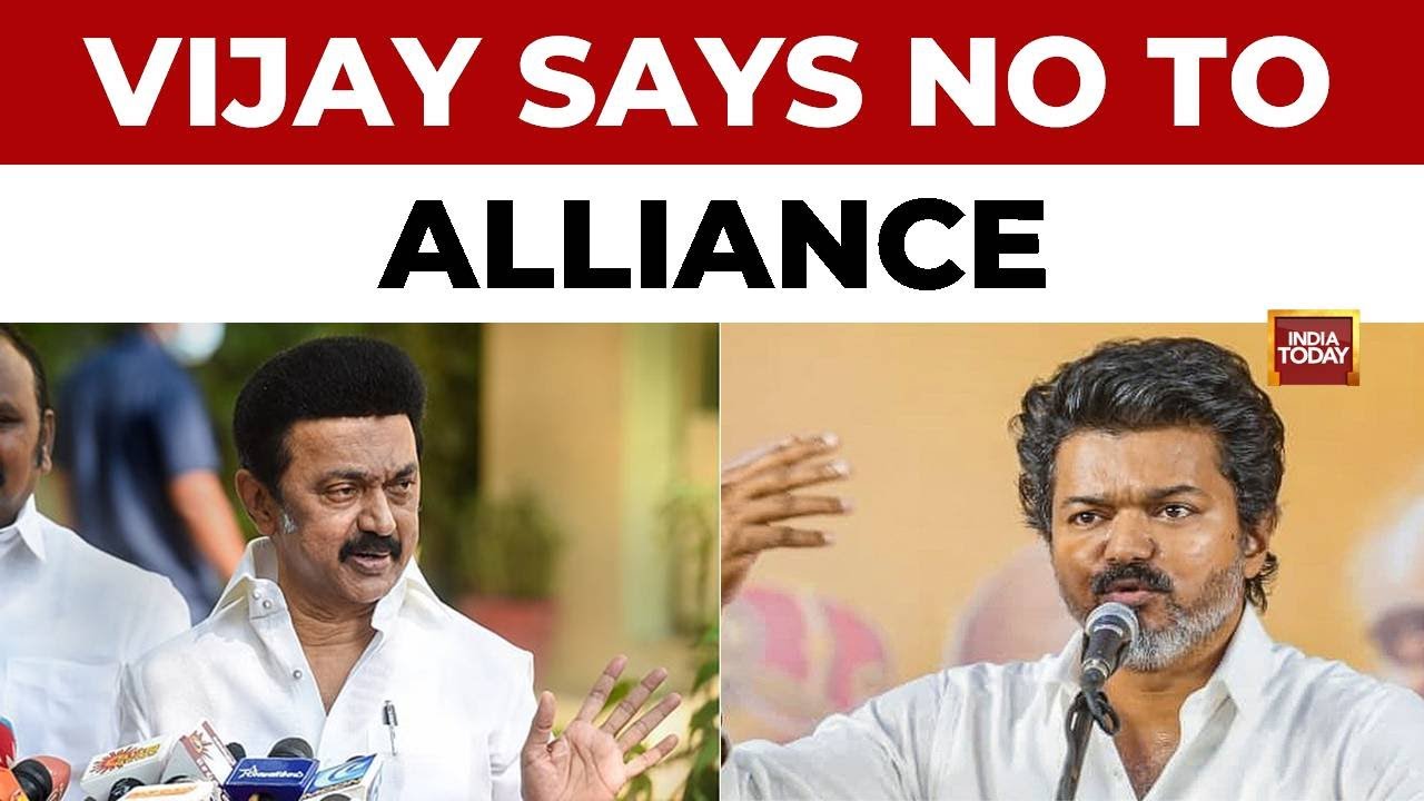 Vijay declares TVK will contest alone: 'We have the power to stand ...