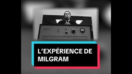 L'expérience de Milgram