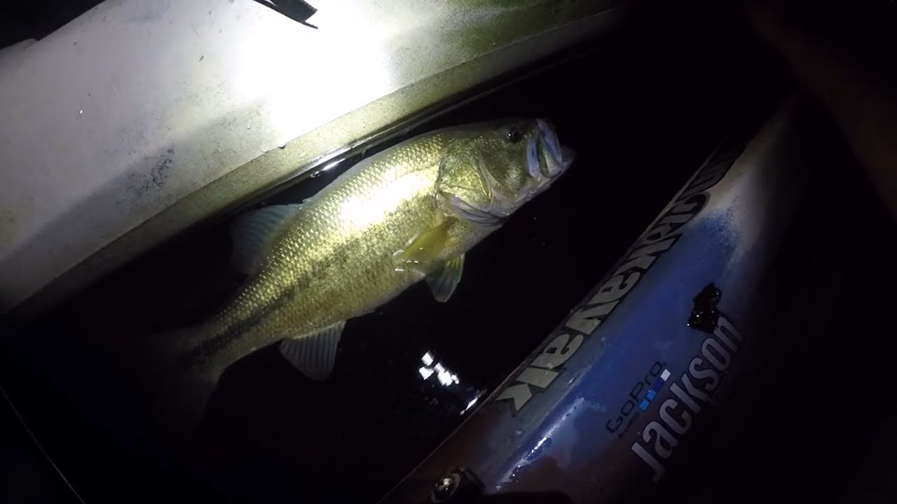 Night fishing produces big bass under the stars