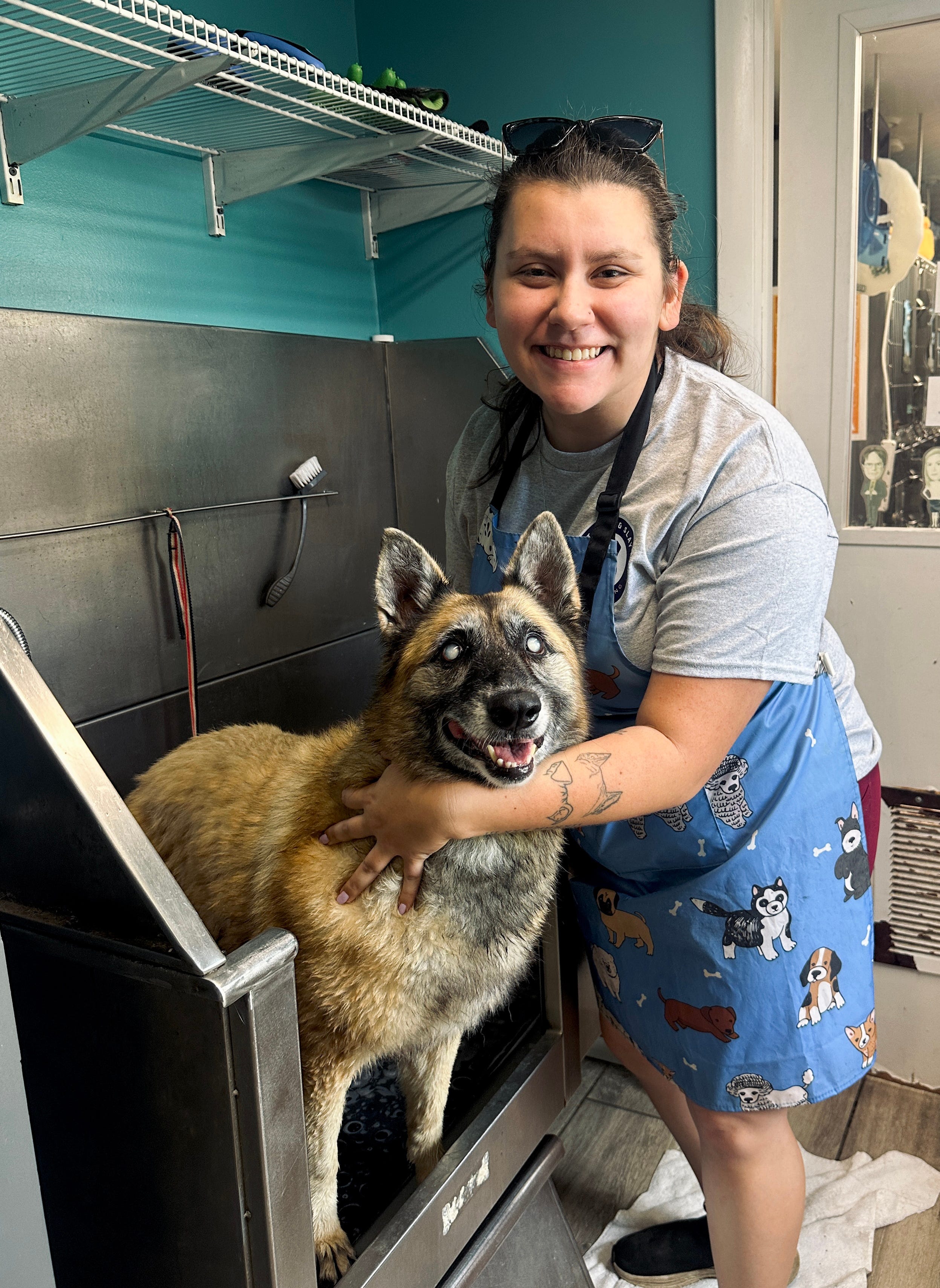 Local groomer donates a full day of grooming to HALO No-Kill Rescue