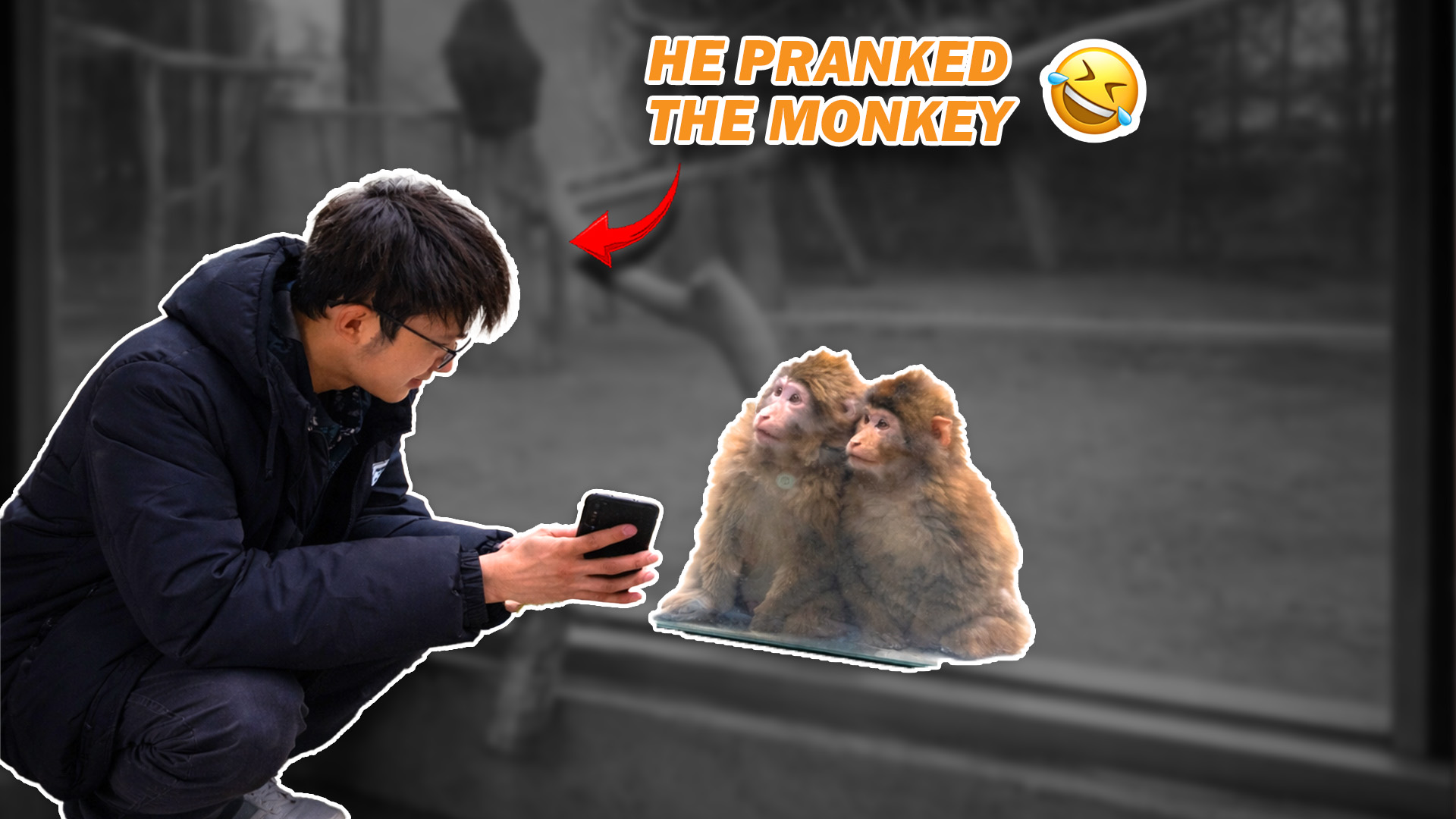 A funny moment when he pranked a monkey