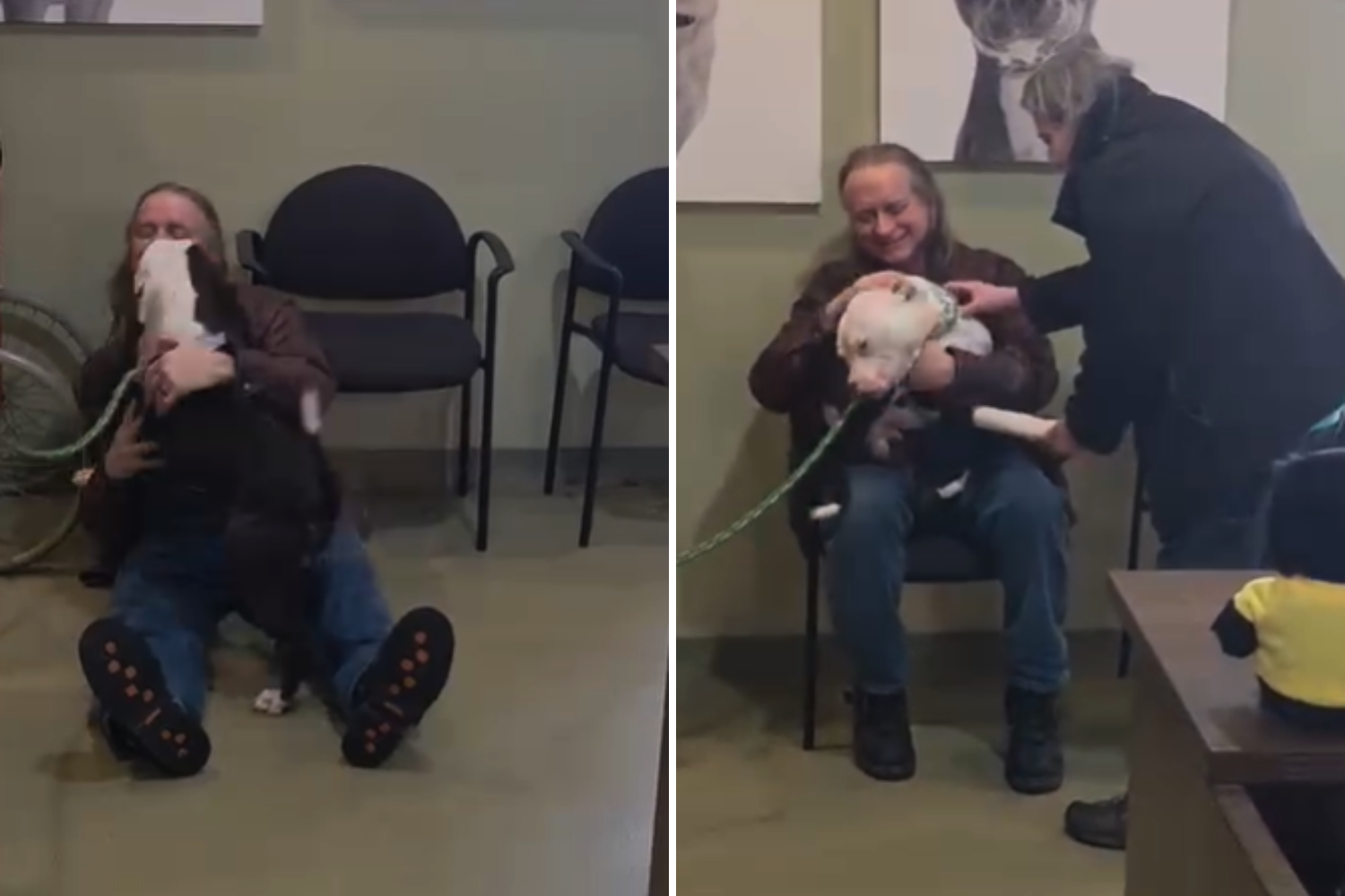 Tears at shelter dog’s reaction the moment he meets his new family