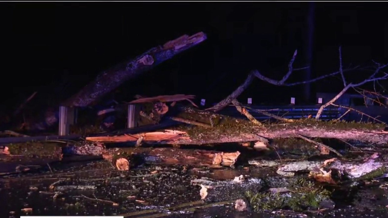 Tree collapse: 60-foot oak blocks southwest Atlanta road