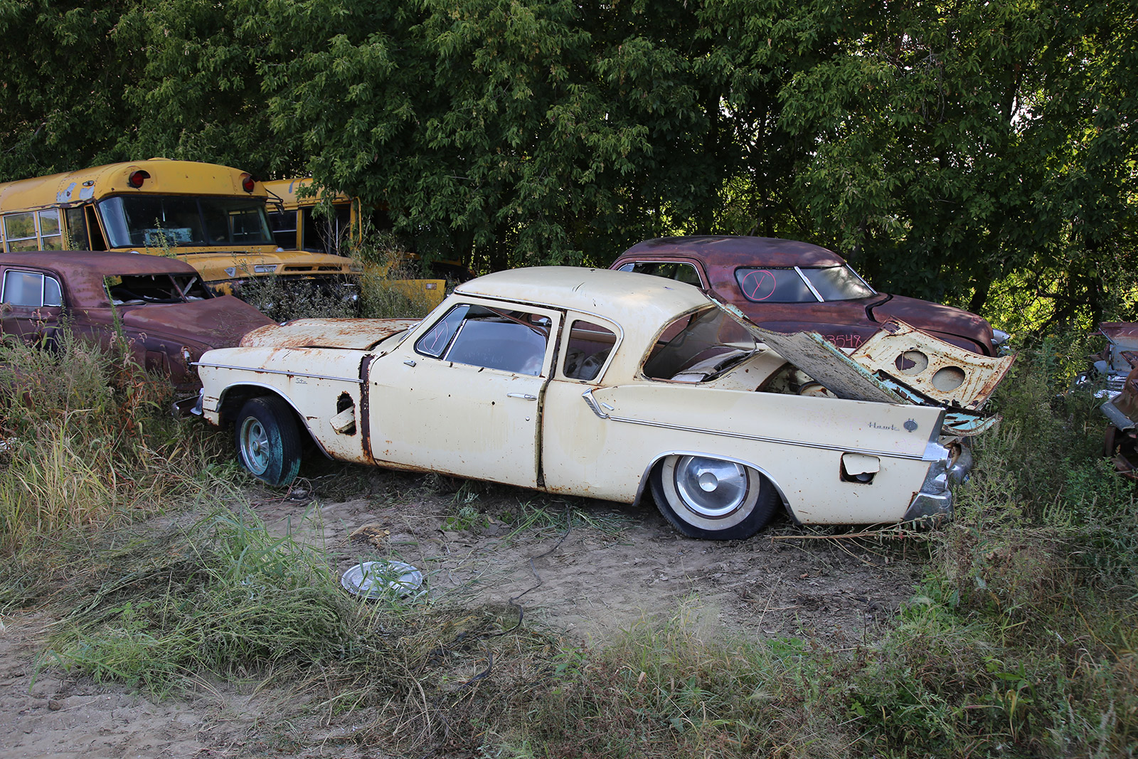 More junkyard discoveries from French Lake Auto Parts, Annandale, Minnesota