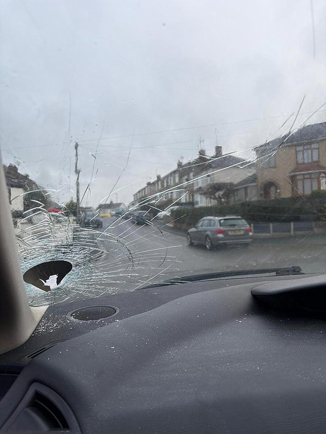 Yobs who nearly killed mother and toddler after hurling a brick through ...