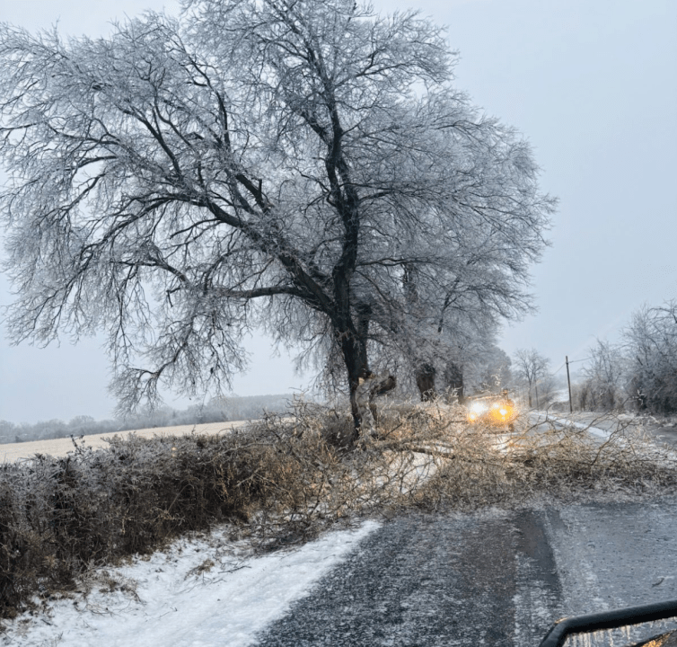 Photos: Freezing rain turns to ice amid winter storm in TN, KY
