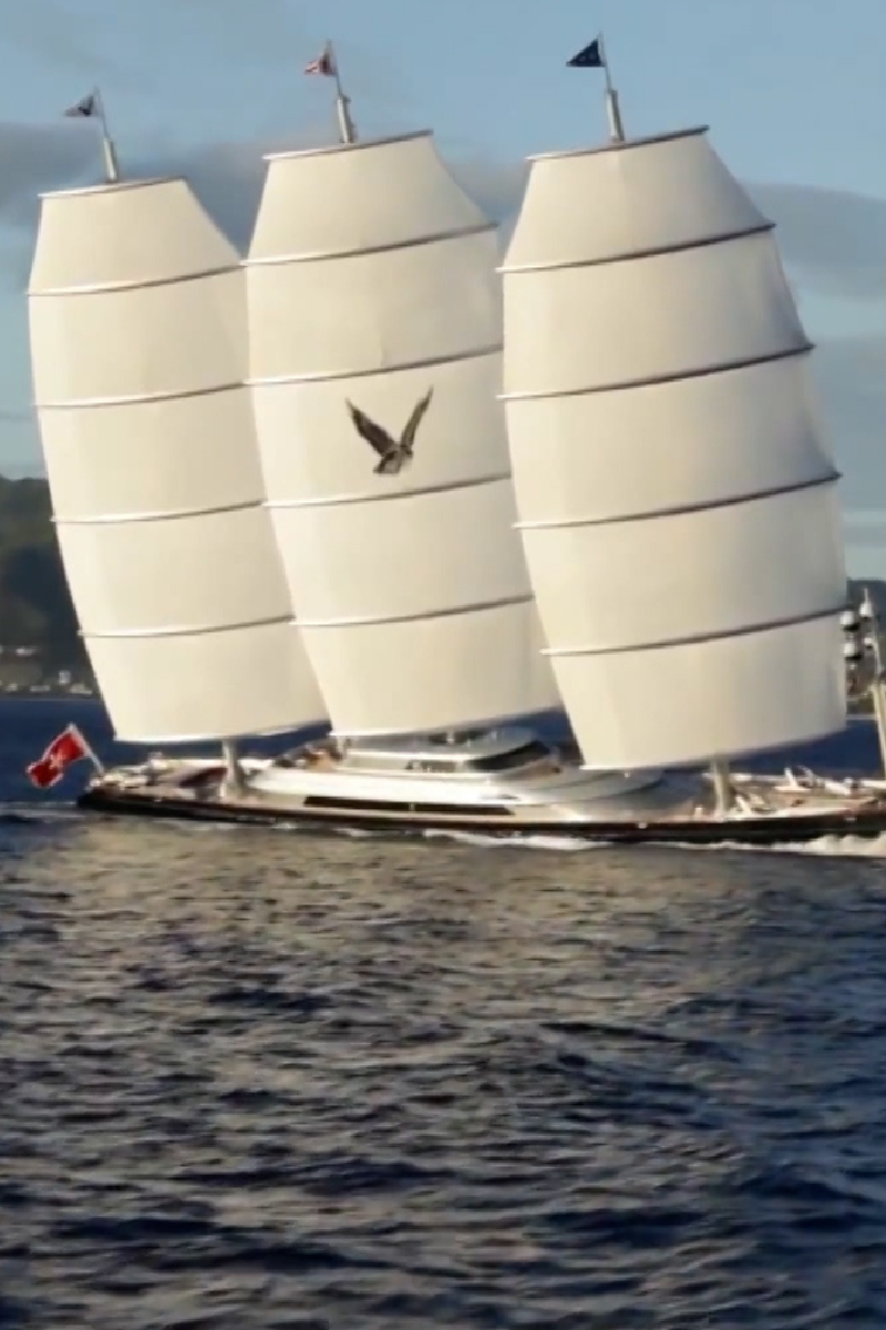 The Maltese Falcon: Where billionaires sail in style
