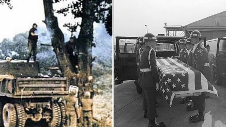 That time the army just had to cut down a Korean tree