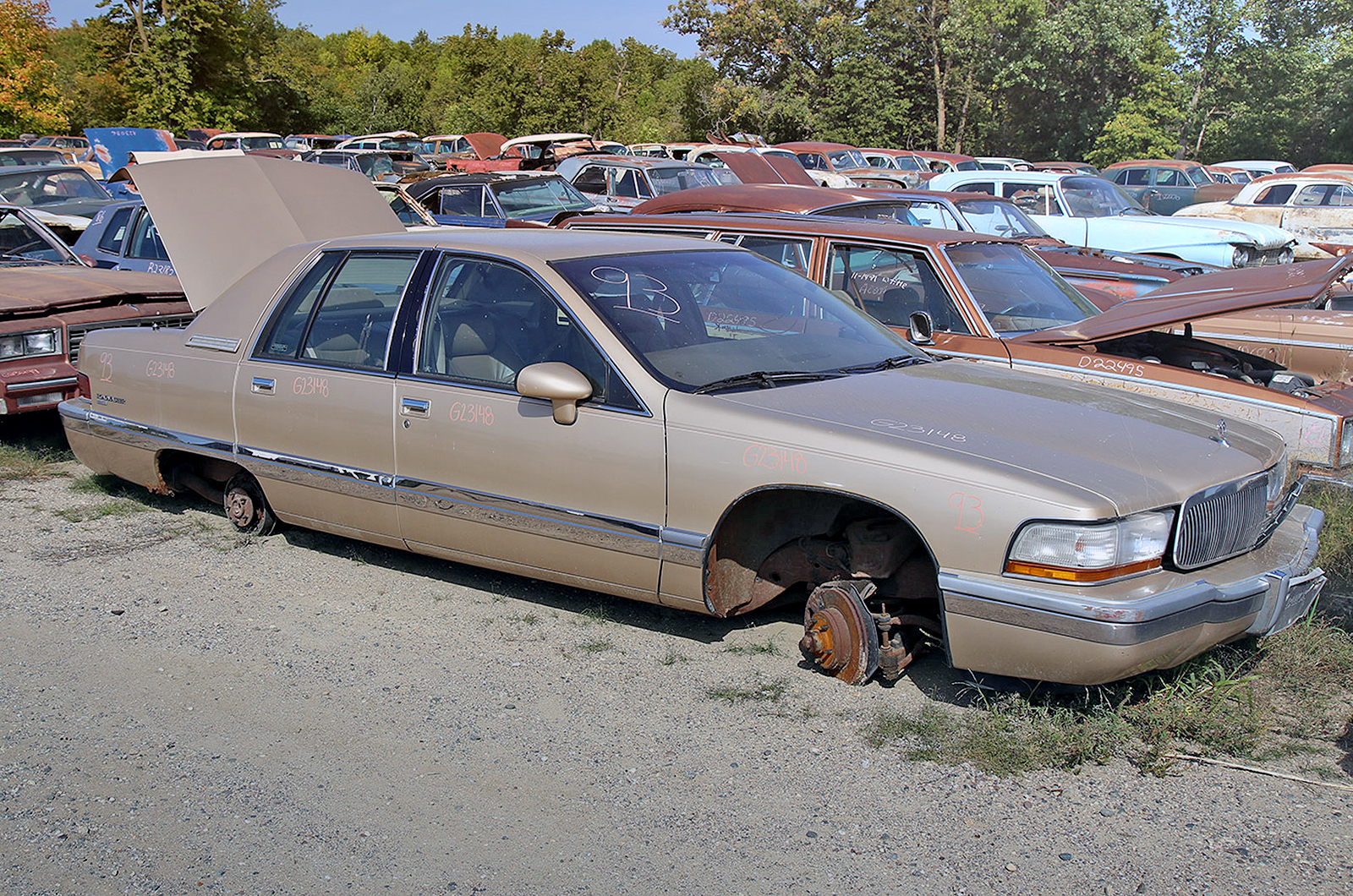 More junkyard discoveries from French Lake Auto Parts, Annandale, Minnesota