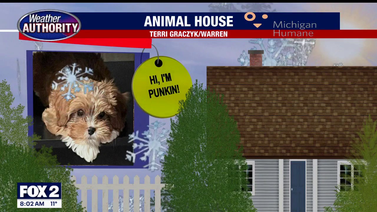 Welcome Kiki, Punkin, Marvel