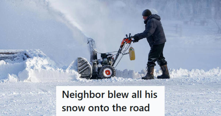 Homeowner watched his neighbor break snow removal rules, so he fired up ...