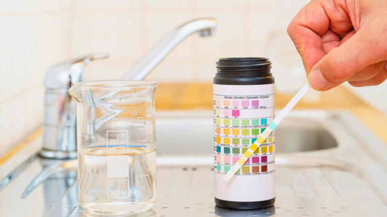 The water test mistake that makes results basically useless