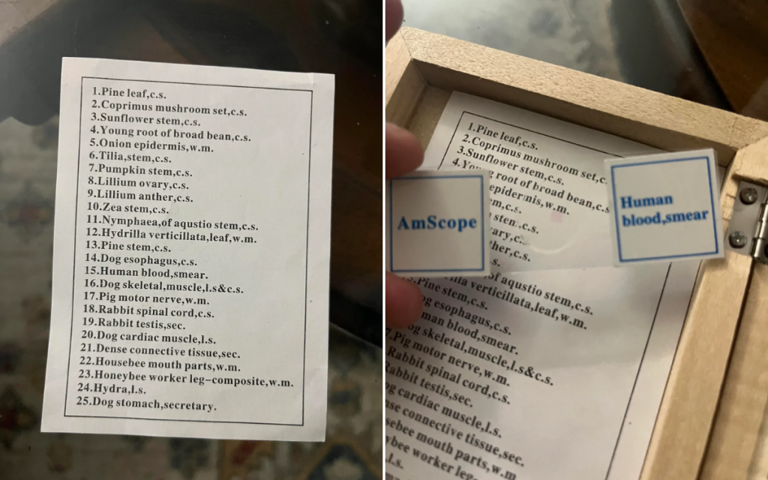 Man makes unusual find at Goodwill, at home discovers human blood inside