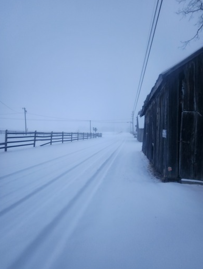 Snowfall reports | How much have we gotten so far?