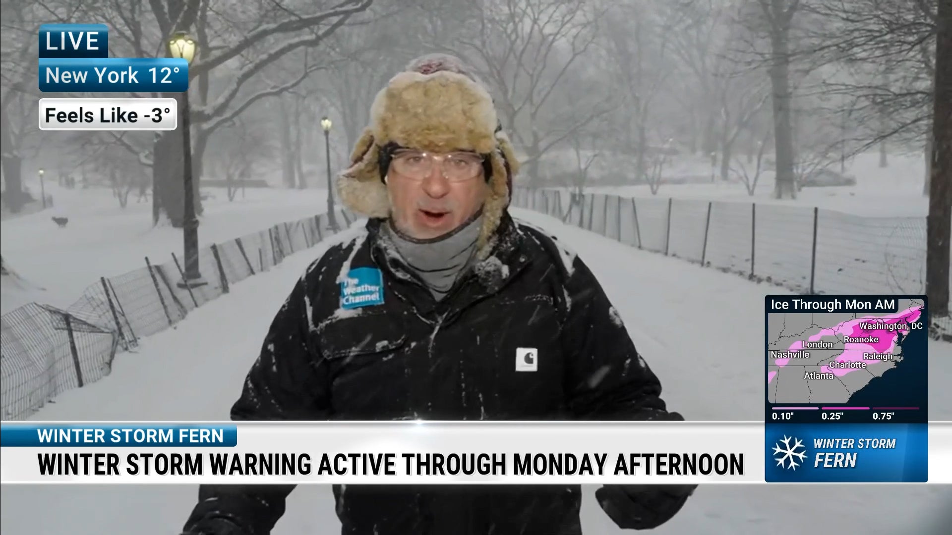 Watch: Dogs enjoy the snow in New York City's Central Park
