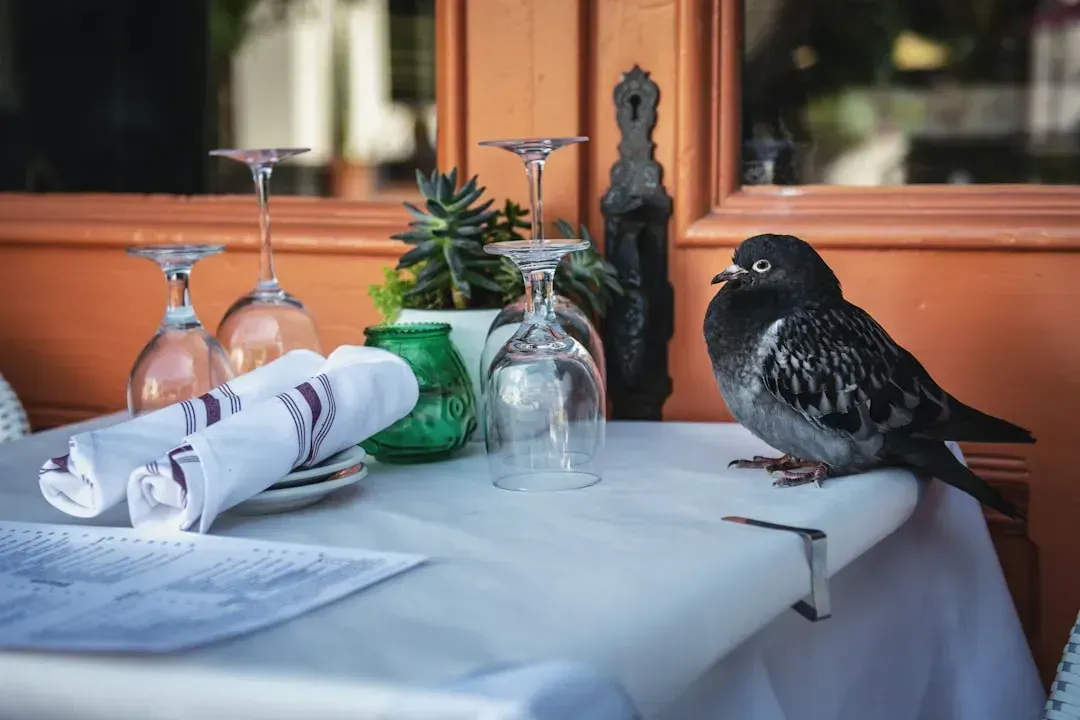 Seasoned waiters notice these 10 red flags the moment you open the menu