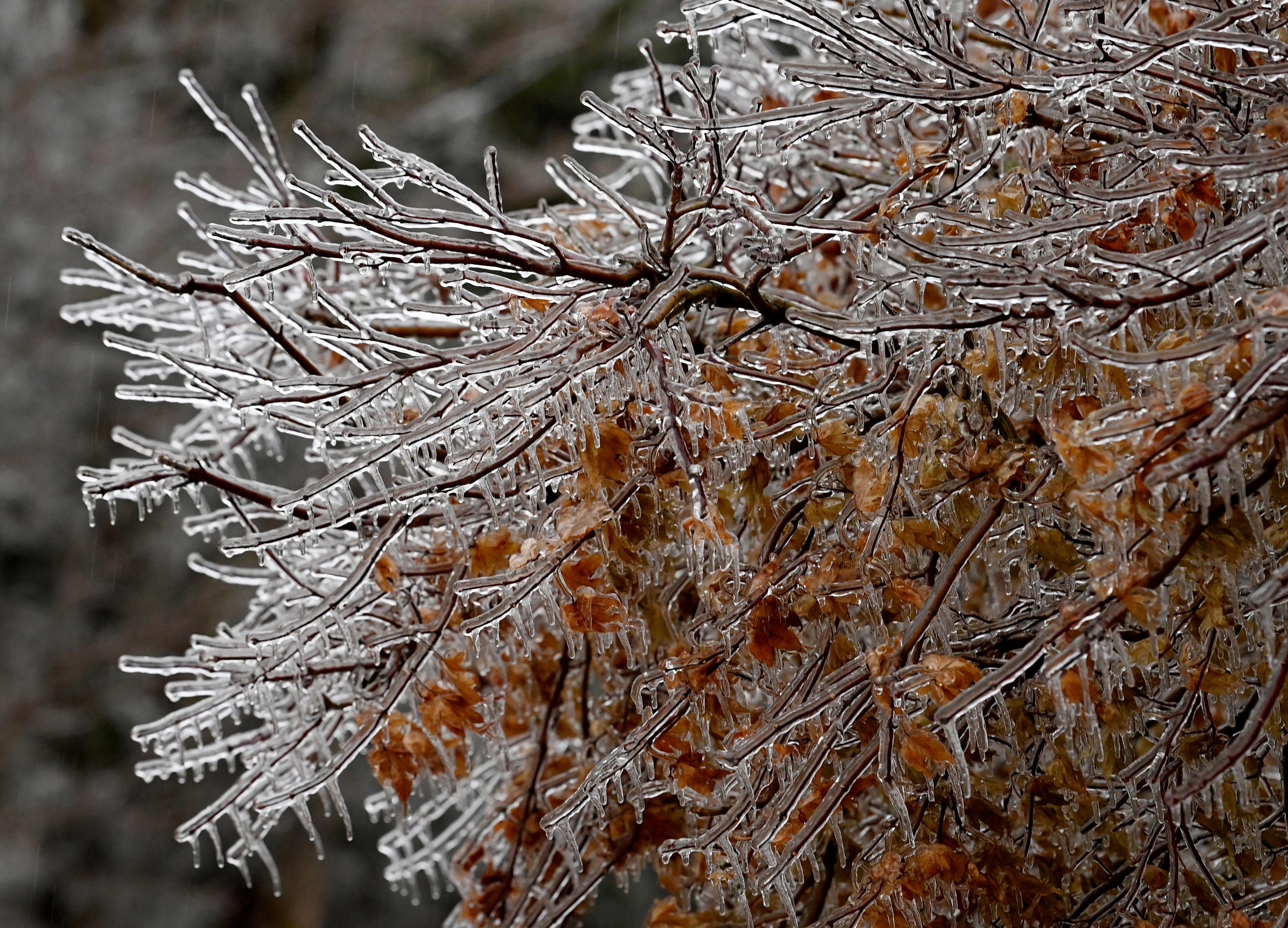 More than 200K without power, trees and wires down in many areas. Live ...