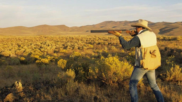 The people’s wildlife: Recovering the commons through the North ...