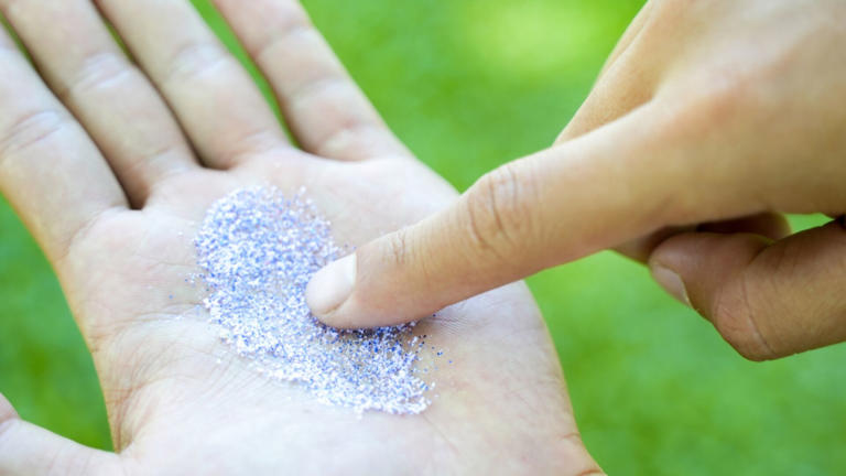 Bomen vangen verrassend veel microplastics – dit zijn de langetermijn ...