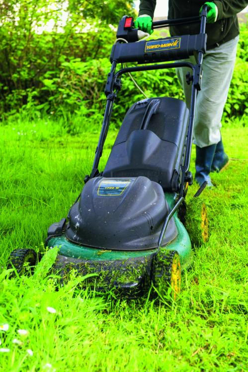 Peut-on brûler ses déchets verts ? Obliger un voisin à élaguer un arbre ...